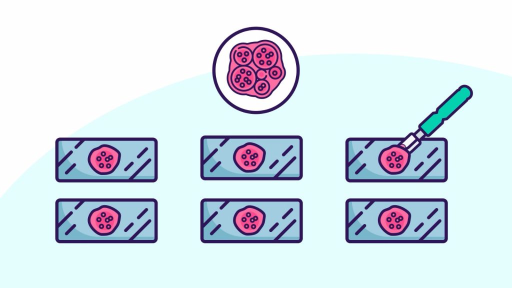Biobanking Animation – TYAR.org