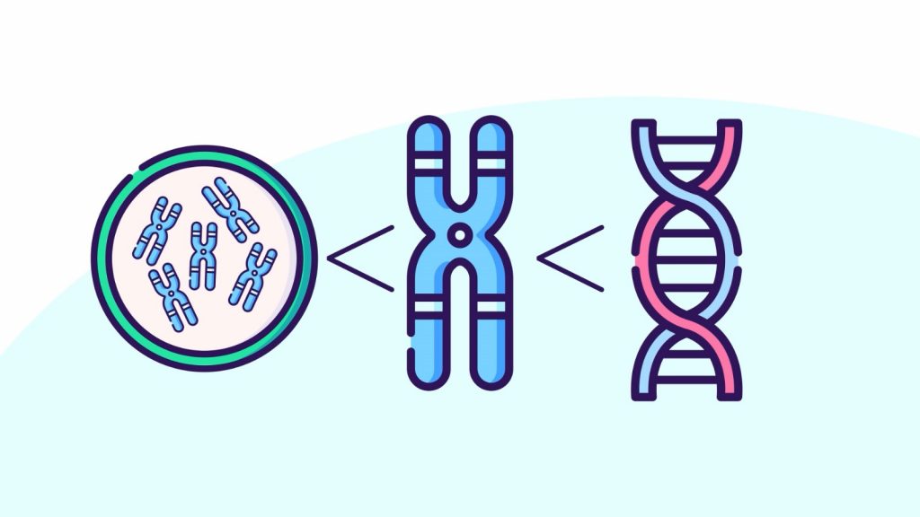 Genomics Animation – TYAR.org